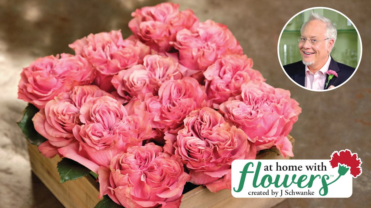 Fresh Ideas for Arranging Garden Roses - Season 1 AHWF - J Schwanke's ...