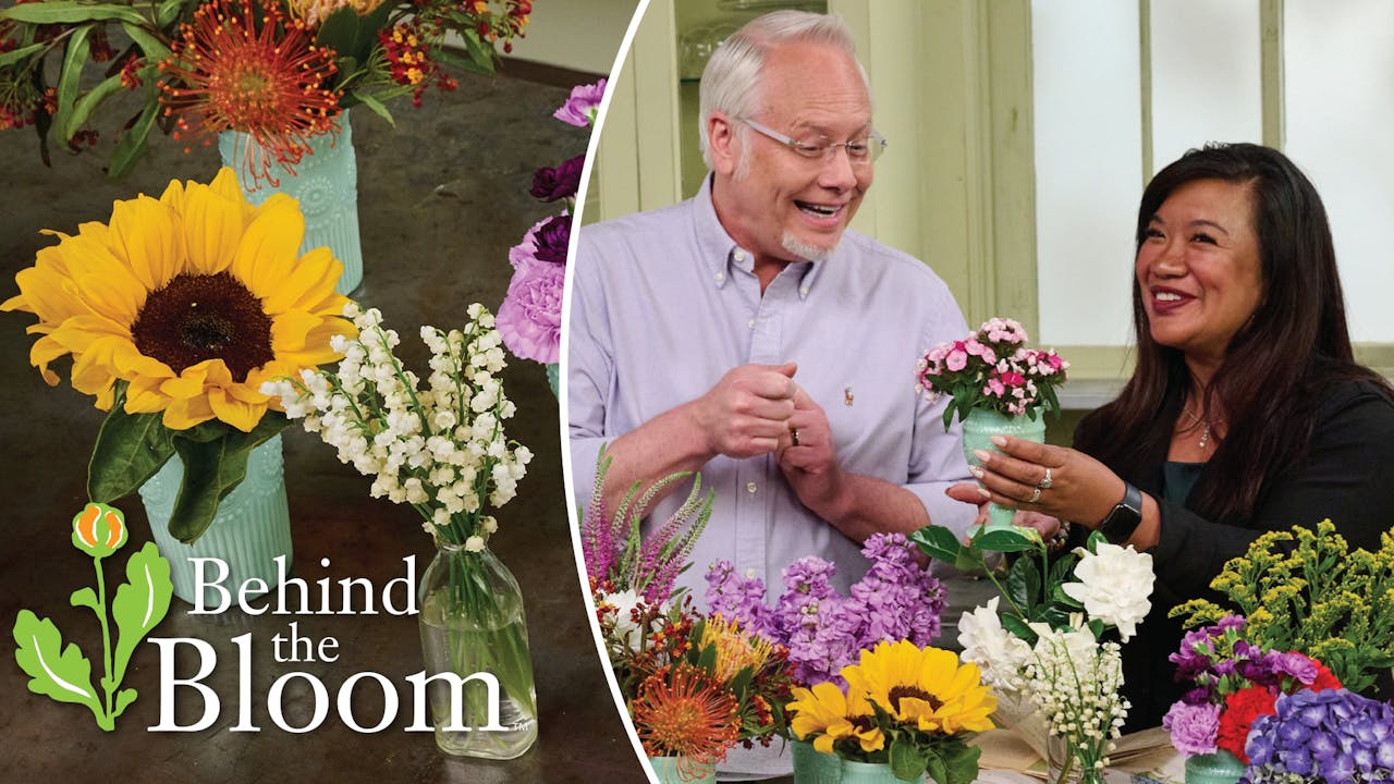 Behind the Bloom with Jenn Pascua and Flower Meanings - Season 3 BTB ...