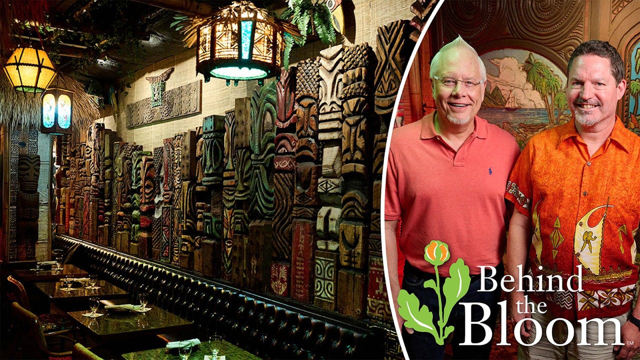 Behind the Bloom- Mark Sellars and Max’s South Seas Hideaway! - Season ...