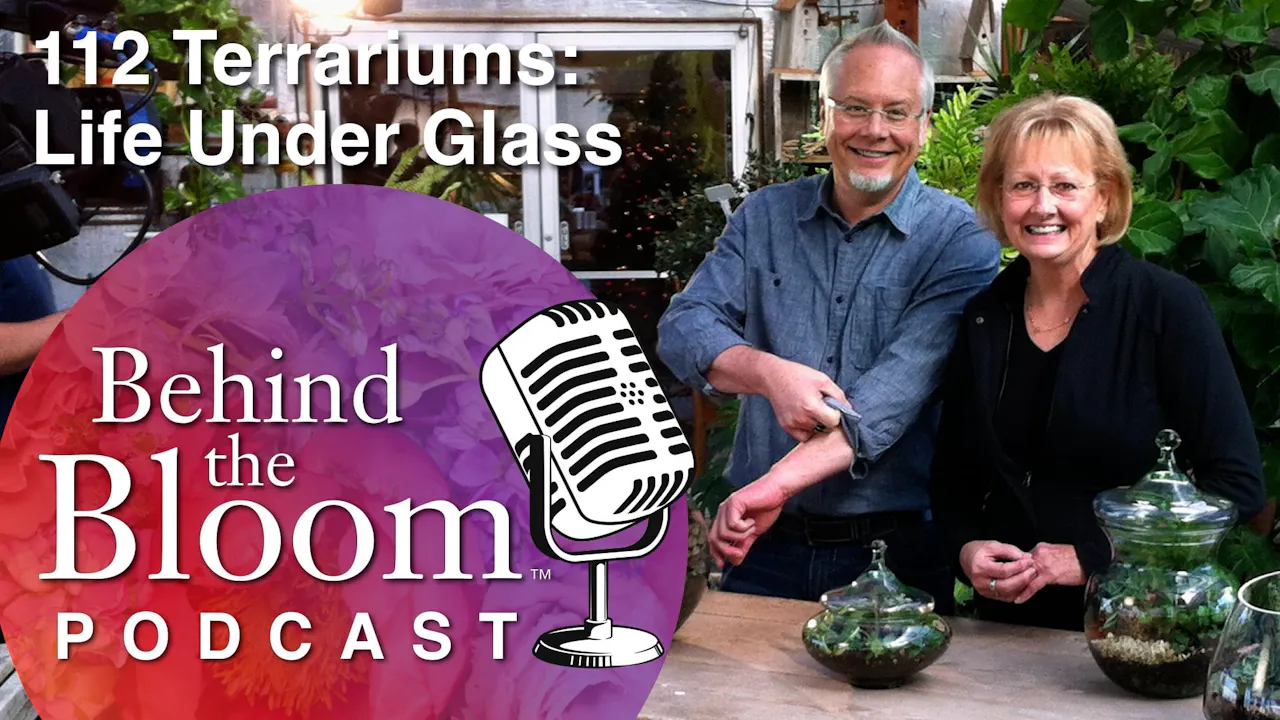 Episode 20 Companion to Episode #112 Terrariums- Life under Glass Life ...