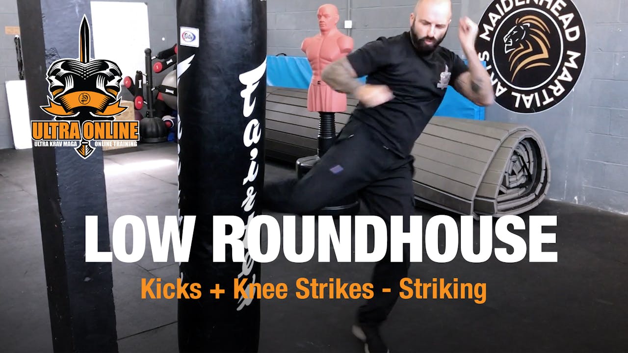 Low Roundhouse - Ultra Krav Maga Online