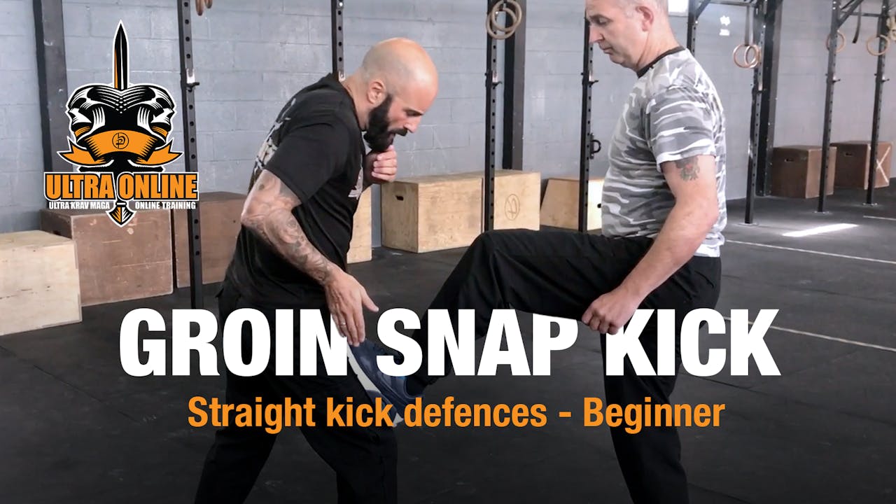 Front Groin Snap Kick Defence - Hands - Ultra Krav Maga Online