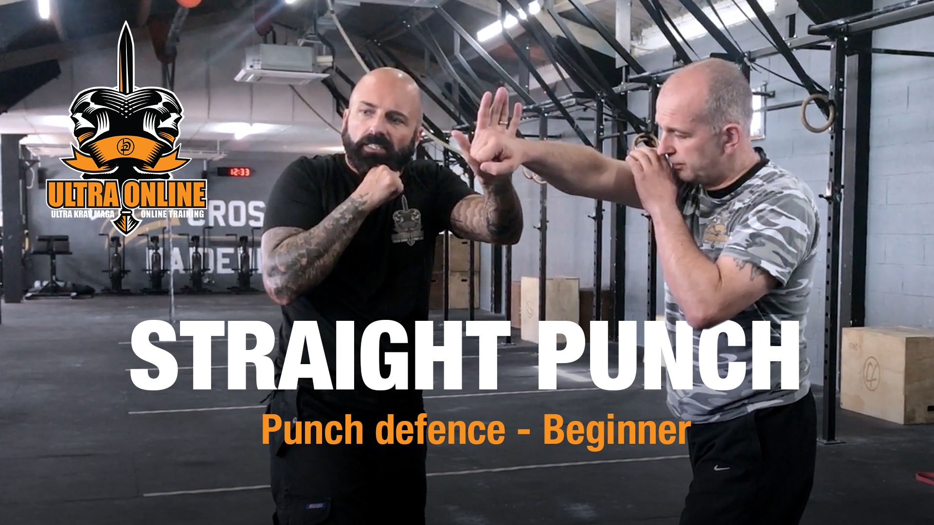 Punch Defences - Ultra Krav Maga Online