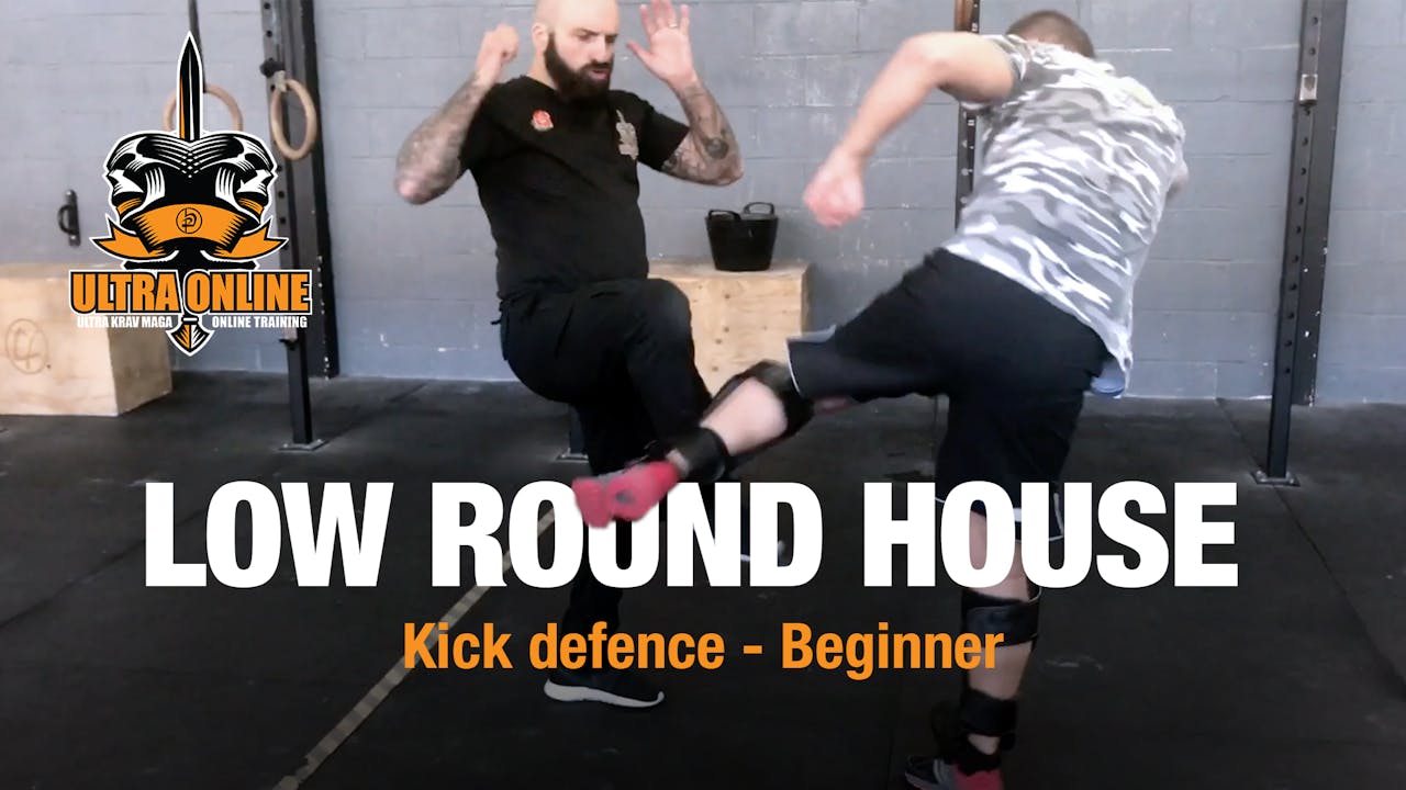 Low Roundhouse Defence - Complete Punch & Kick Defence Package - Ultra ...