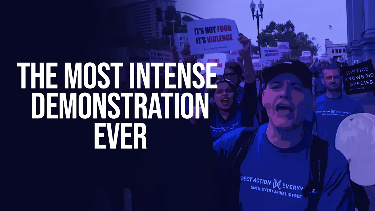 The Most Intense Demonstration Ever - Direct Action Everywhere ...