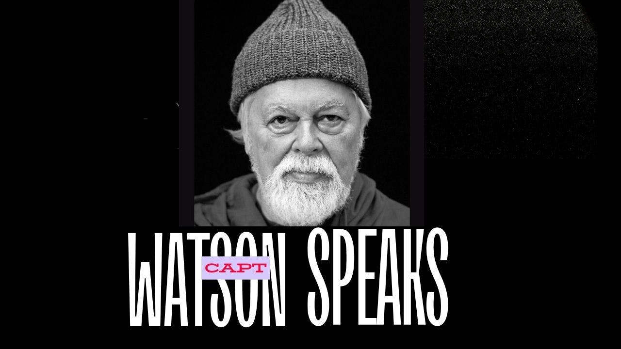 Capt Paul Watson, Freed from Prison, SPEAKS! - Truth Files with Jane ...