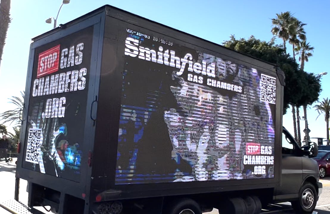 Slaughterhouse Gas Chamber Secrets Revealed - Episode Two - A Moment in ...