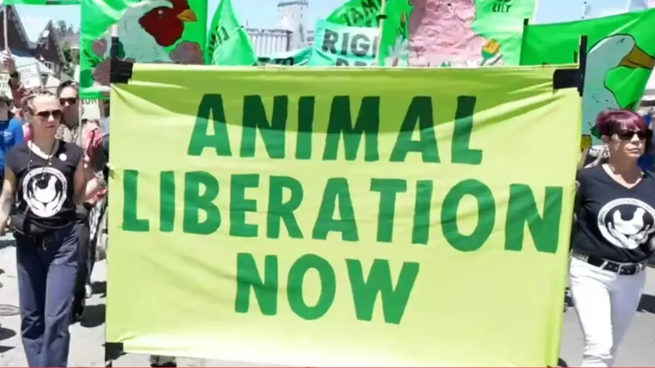 March Reveals Animal Farm Cruelty - Direct Action Everywhere - UNCHAINEDTV