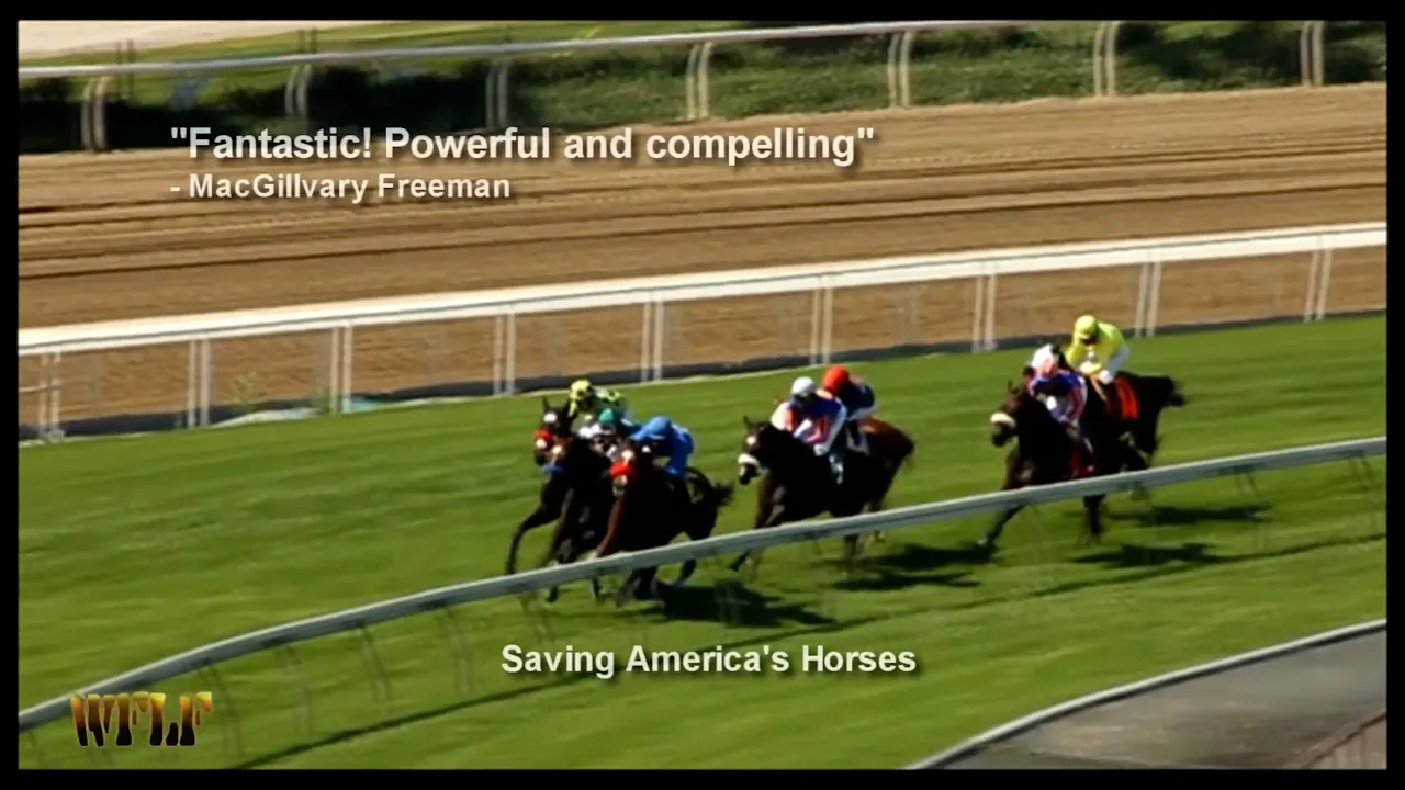 Saving America’s Horses, A United Voice for Horses & Burros - UNCHAINEDTV