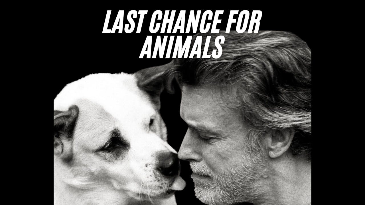 Chris DeRose: Hero for the Animals - UNCHAINEDTV