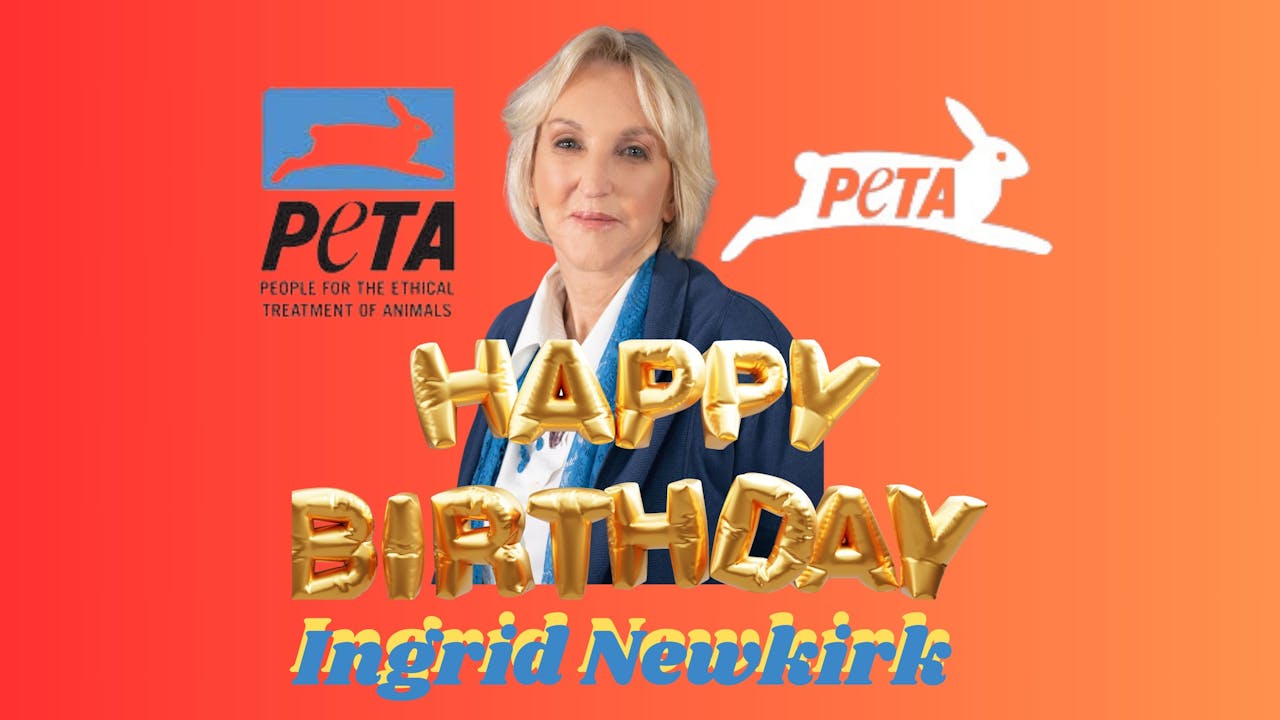 PETA's Ingrid Newkirk Speaks! - Truth Files with Jane Velez-Mitchell ...