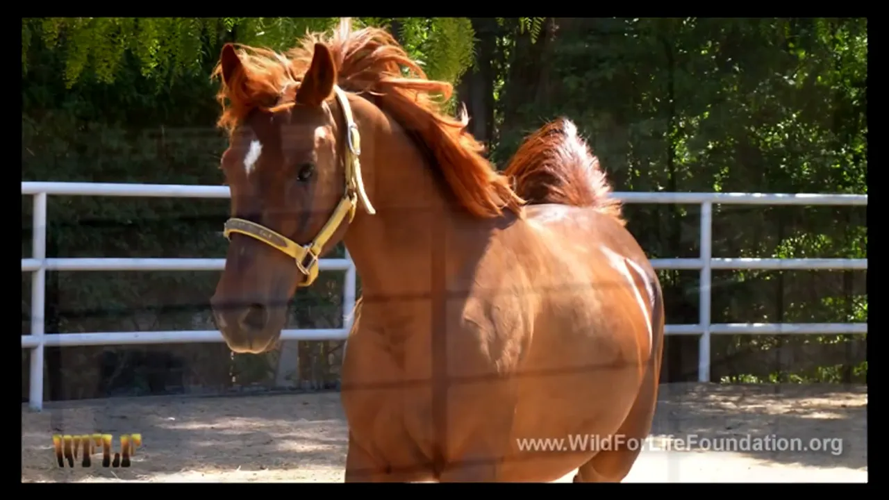 Make That Change: Music Video! - UNCHAINEDTV