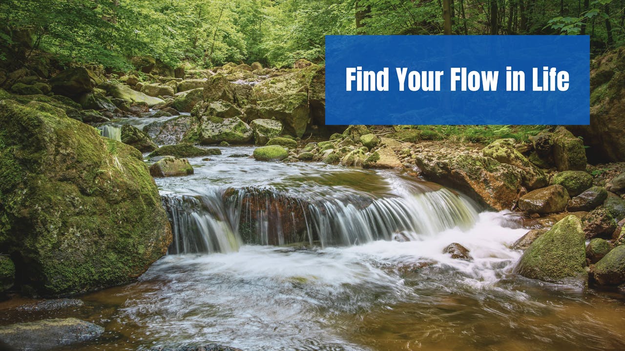 Find Your Flow in Life - ULFN