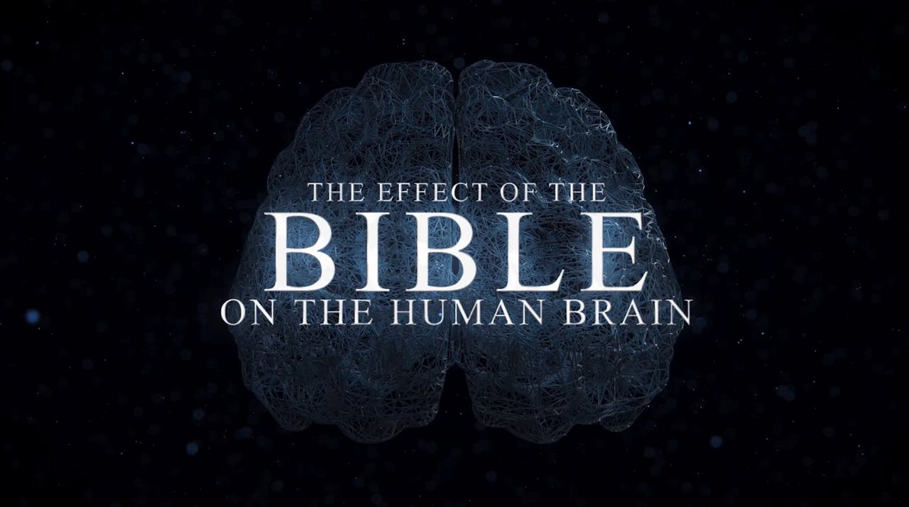 The Effect of the Bible on the Human Brain - Spiritual Messages - ULFN