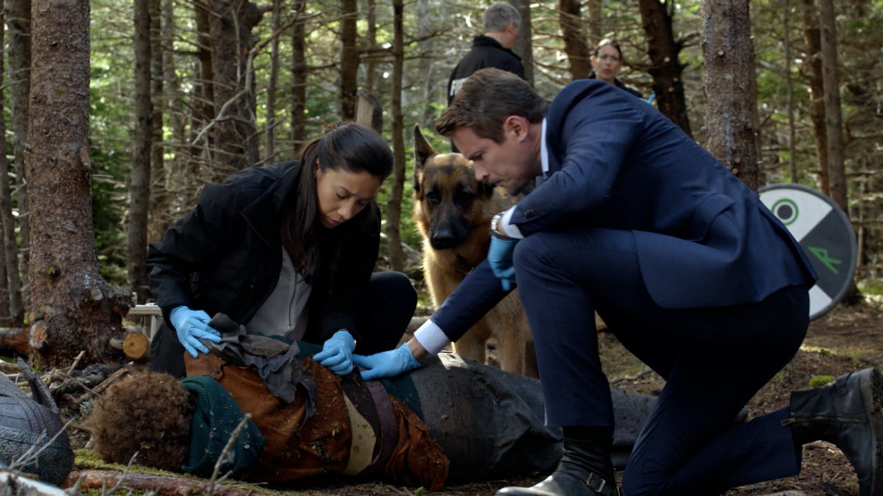 208 - Game of Bones - Hudson & Rex - Season 2 - UP Faith and Family