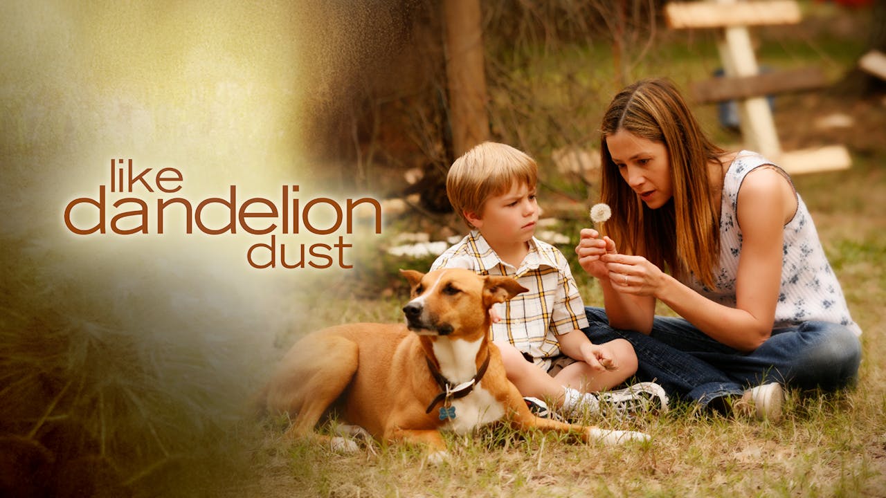 Like Dandelion Dust - Like Dandelion Dust - UP Faith and Family
