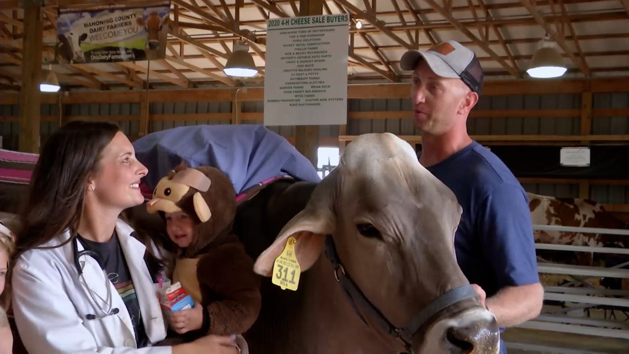 Small Town, Big Deal: 710 - Small Town, Big Deal - Season 7 - UP Faith and Family