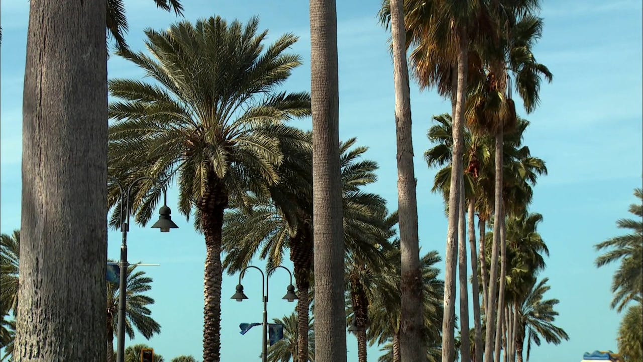 One Cap, Two Gowns? - Bringing Up Bates - Season 6 - UP Faith and Family