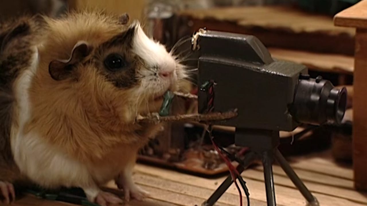 Hairbrush Henry - Once Upon a Hamster - Season 2 - UP Faith and Family