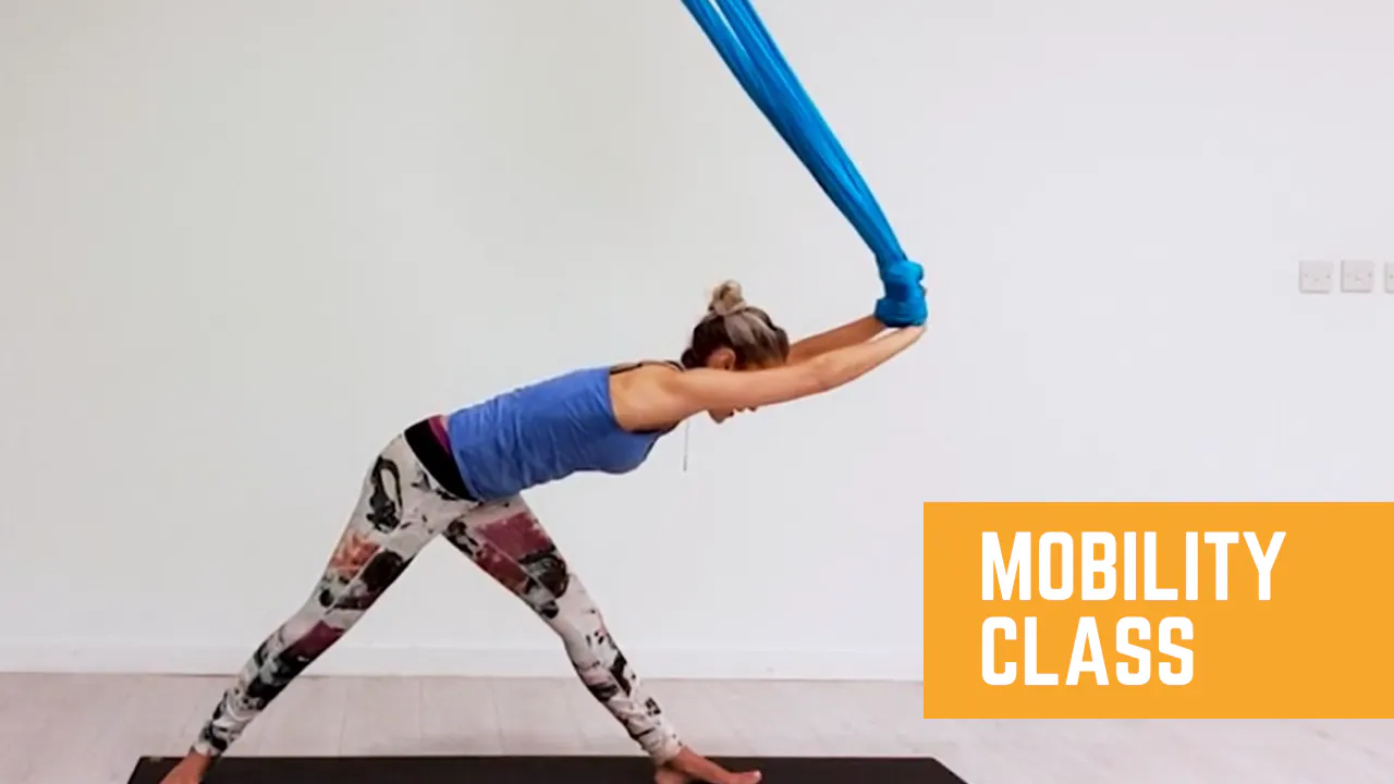 Aerial Yoga for Mobility - Uplift Active Studio