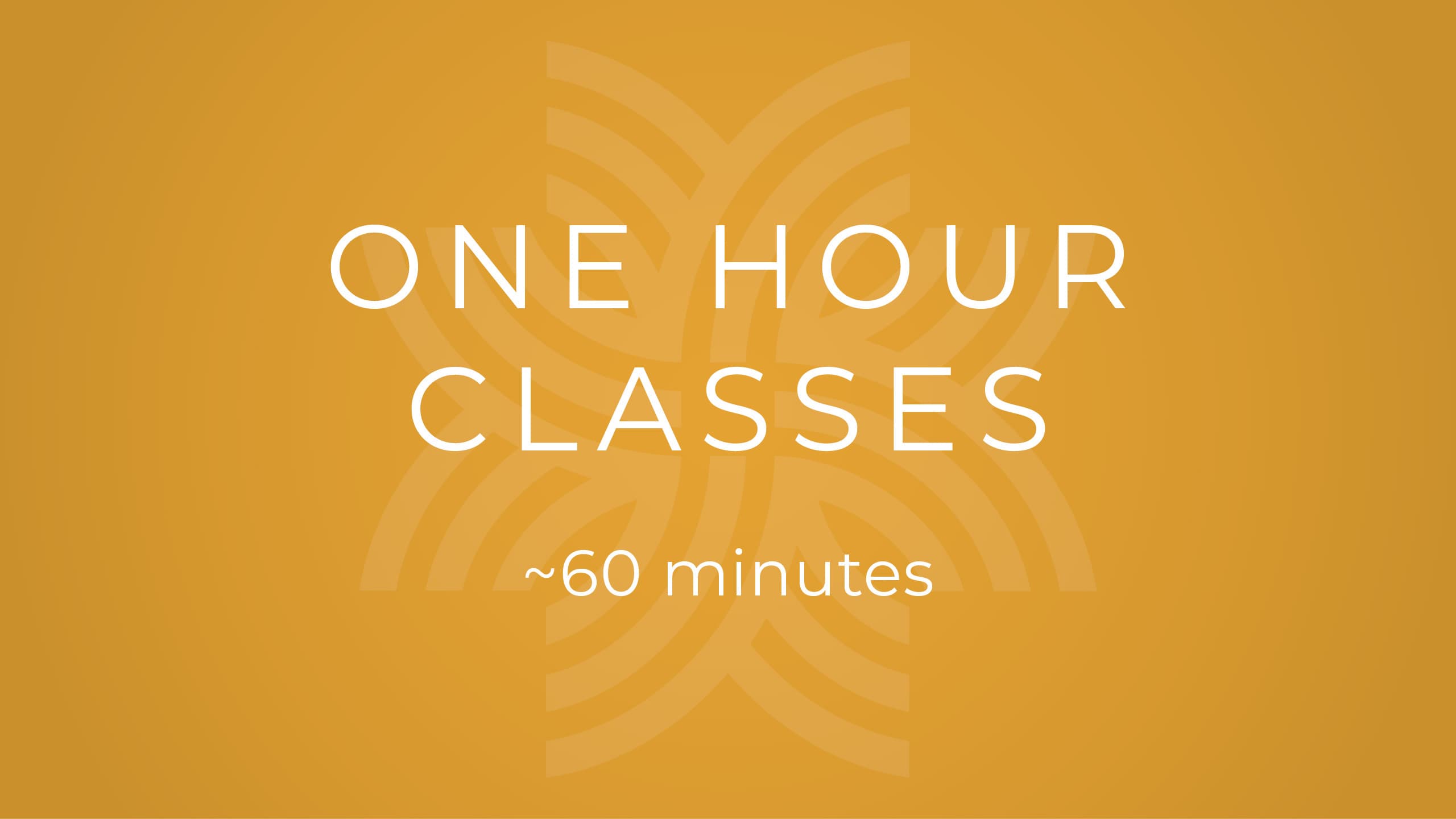 Hour Class - Greenwich Barre Studio