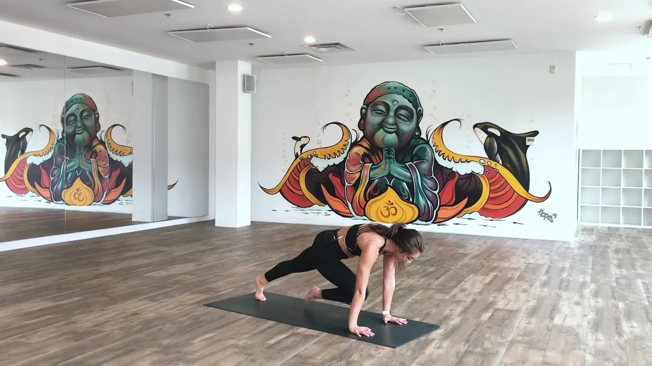 Hailey Flow Burn (A$$+ABS special edition) - YOGA STRONG - VNYSΛ