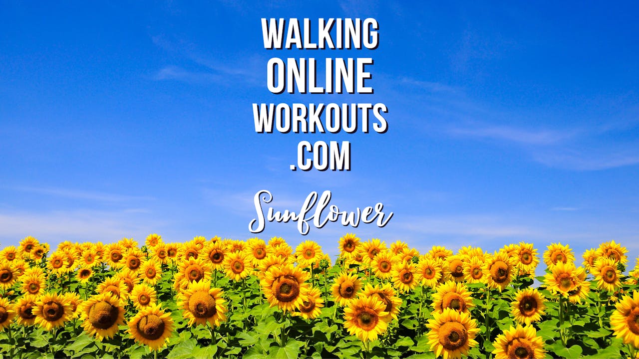 Sunflower - Walking Workouts - Walking Online Workouts