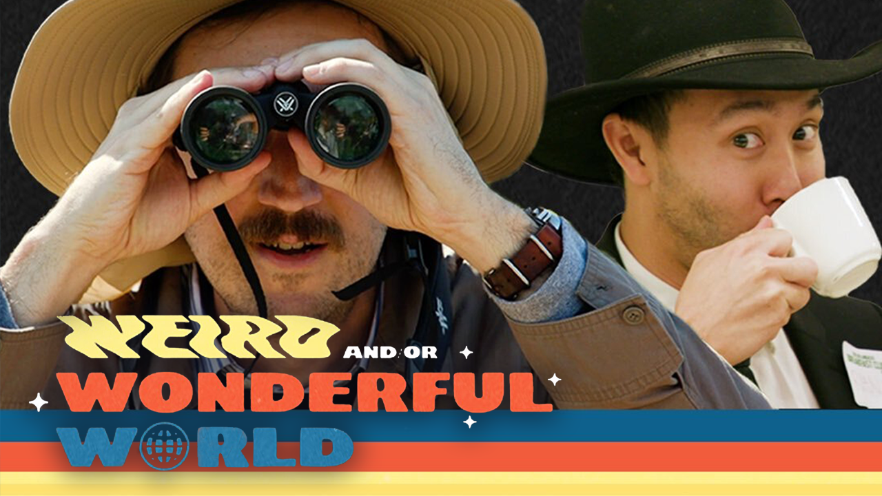 Weird Wonderful World - Watcher