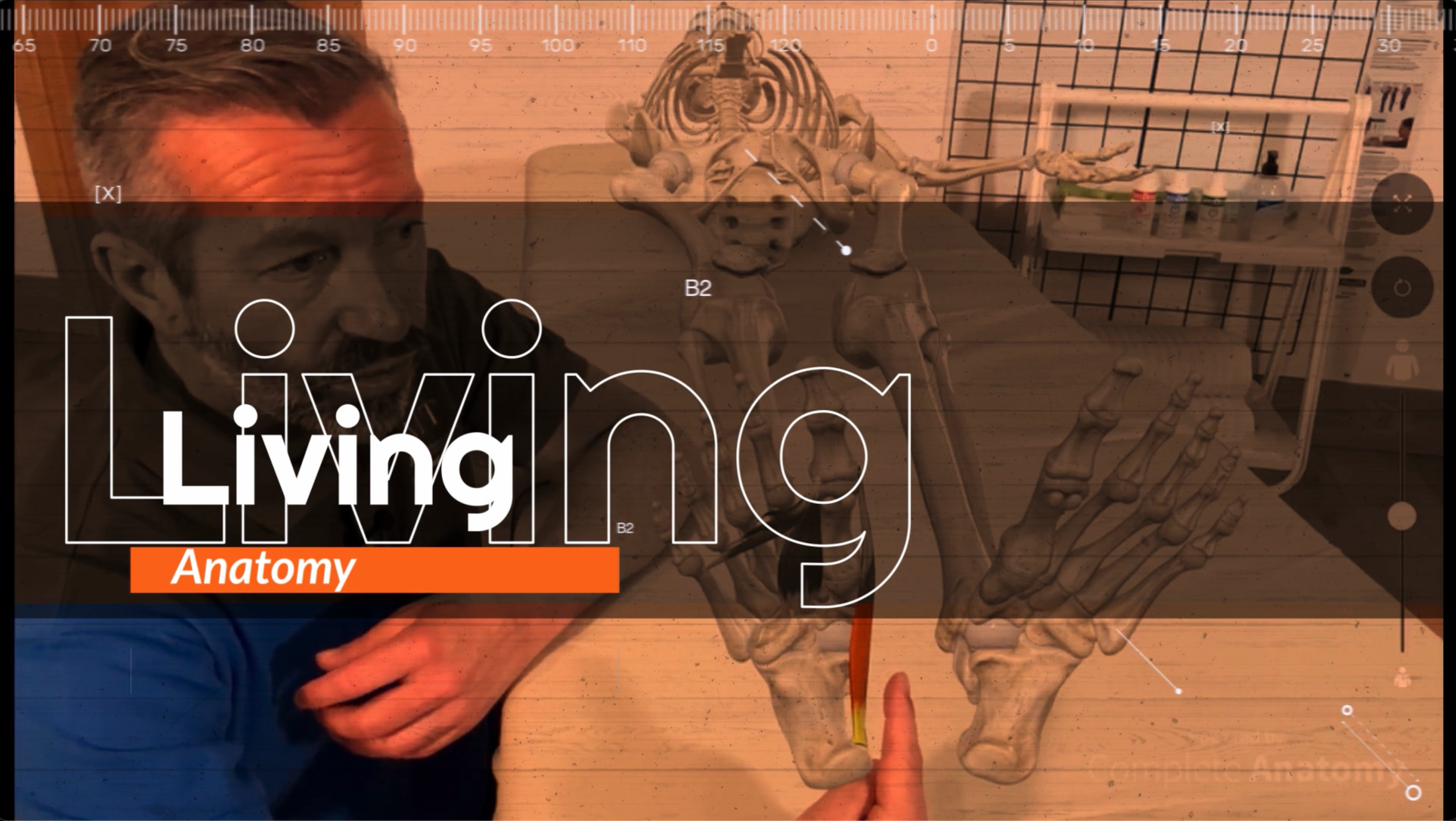 Living Anatomy - Watch HCD