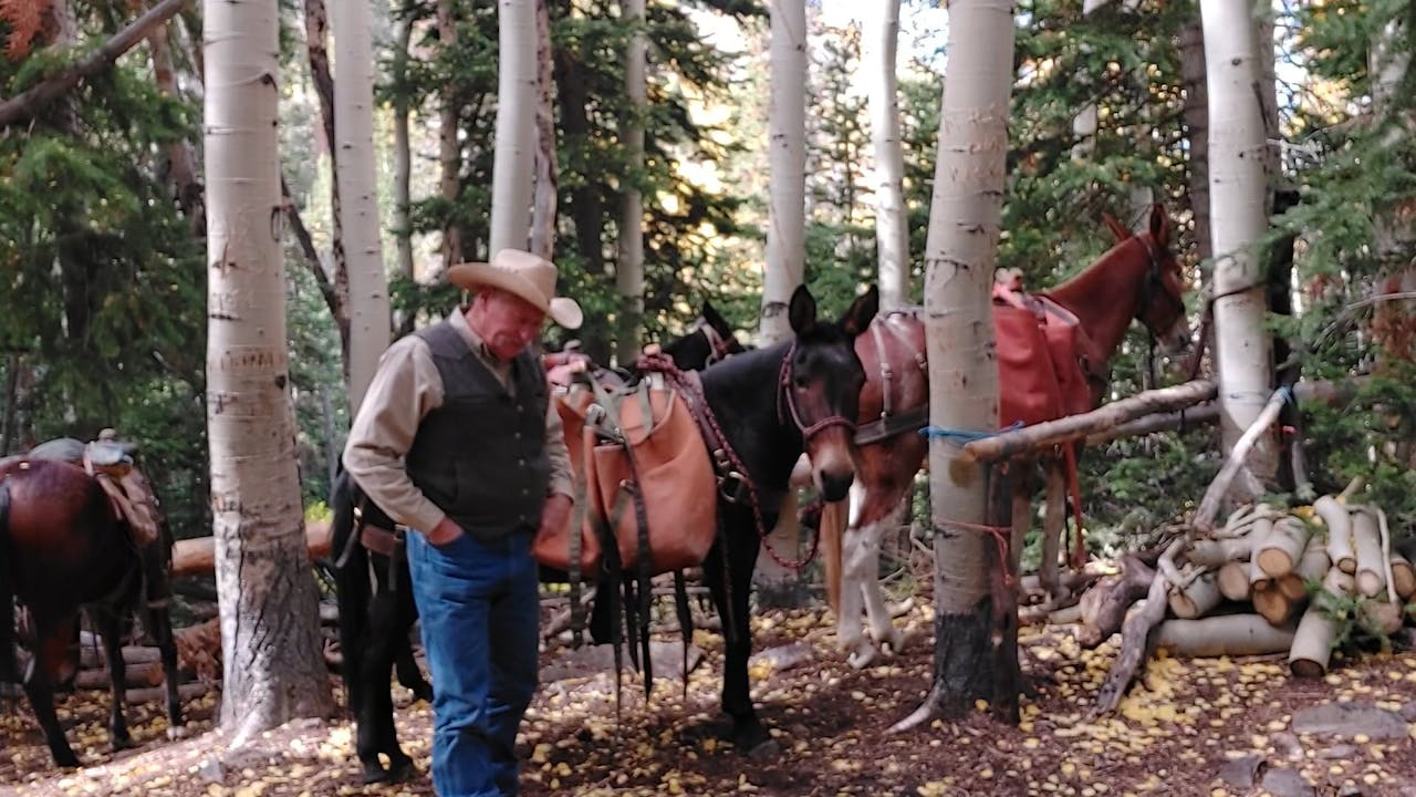 Buckaroo - 41st Gathering Featured Artists - Western Folklife TV
