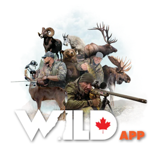 Wild TV