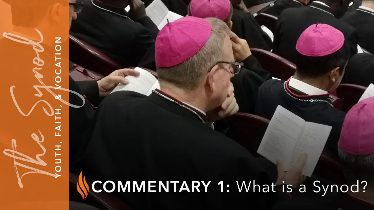 Synod 2018: What is a Synod? - Talks & Lectures - Word on Fire Digital