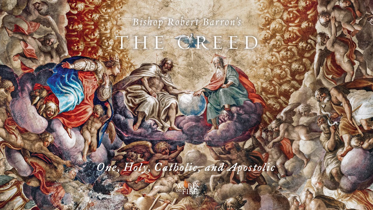 One, Holy, Catholic, and Apostolic - English - Word on Fire Digital