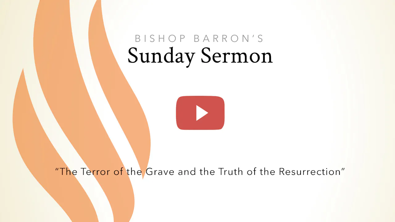 Terror of the Grave, Truth of the Resurrection — Bishop Barron’s Sunday ...
