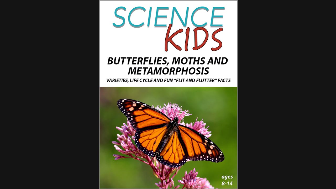 Science Kids - Butterflies and Moths - Science Kids - Grades 4 - 9 ...