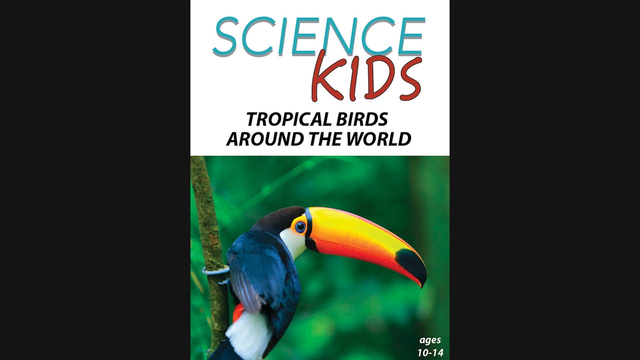 Science Kids - Tropical Birds Around the World - Science Kids - Grades ...