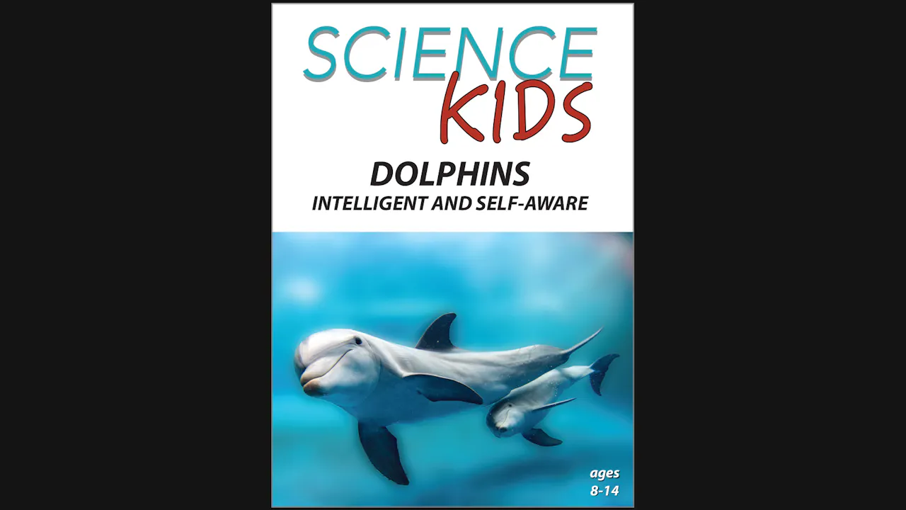 Science Kids - Dolphins - Intelligent and Self-Aware - Wonderscape ...