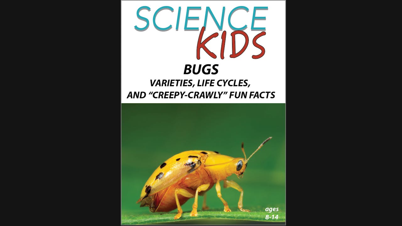 Science Kids: Bugs - Science Kids - Grades 4 - 9 - Wonderscape Education