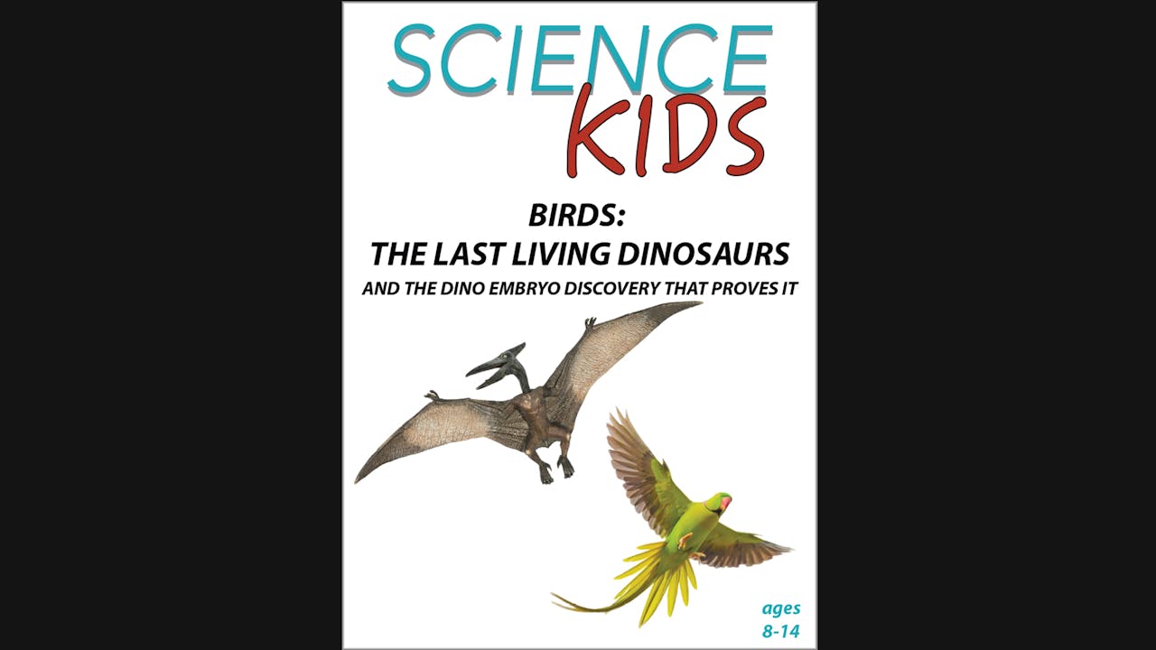 Science Kids: Birds - The Last Living Dinosaurs - Science Kids - Grades ...