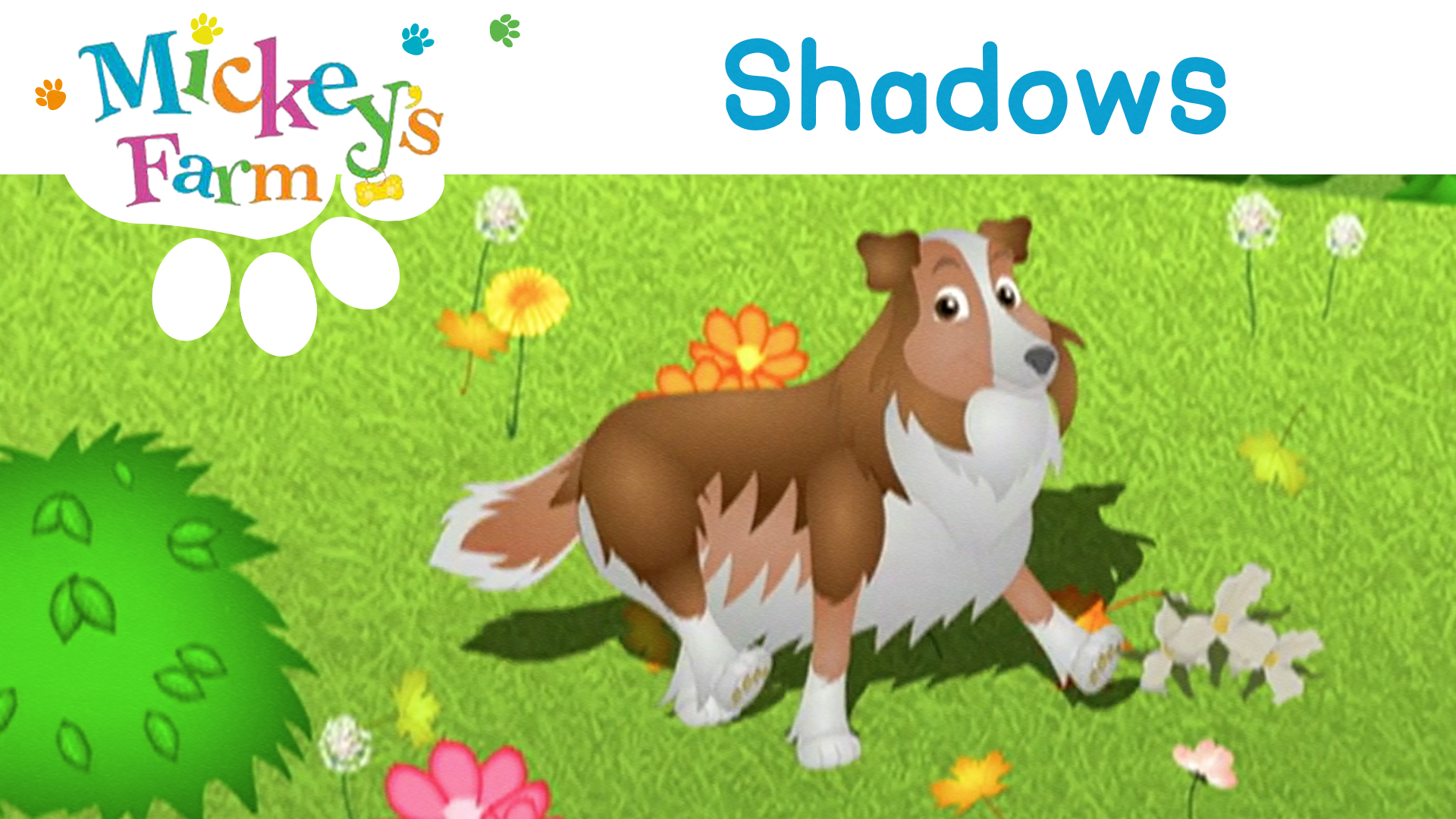 Mickey's Farm (115 Videos) - Yippee - Faith filled shows!