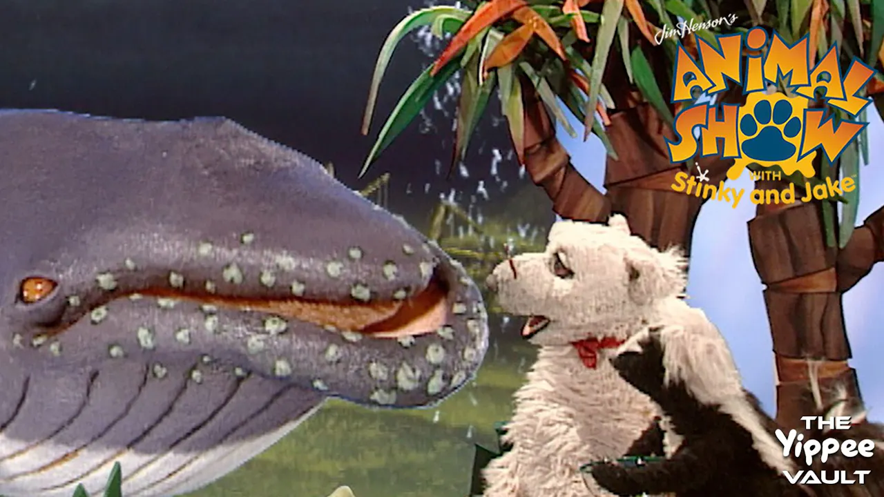 Whale & Soldier Ant - Animal Show with Stinky and Jake - Yippee - Faith ...