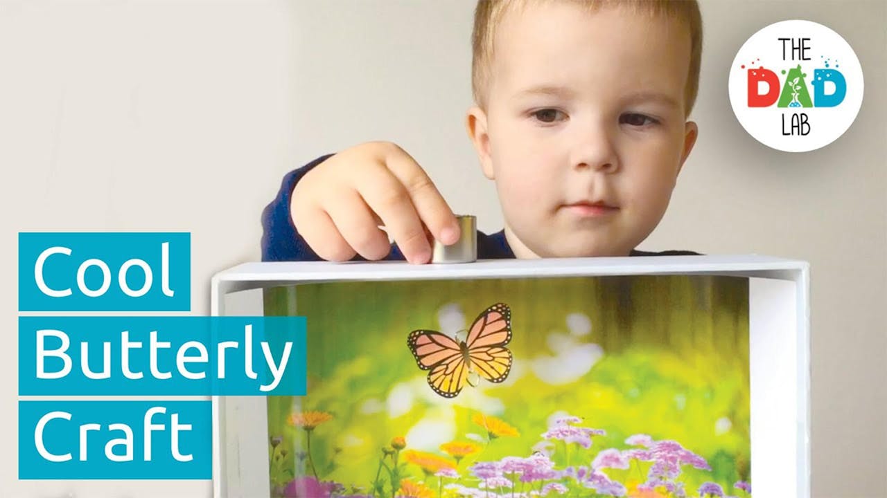 Box With Flying Paper Butterfly | Simple Magnetic Craft - TheDadLab ...