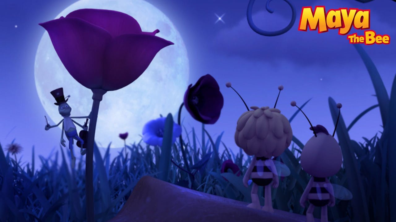 Queen of the Solar Eclipse - Maya the Bee - Yippee - Faith filled shows!