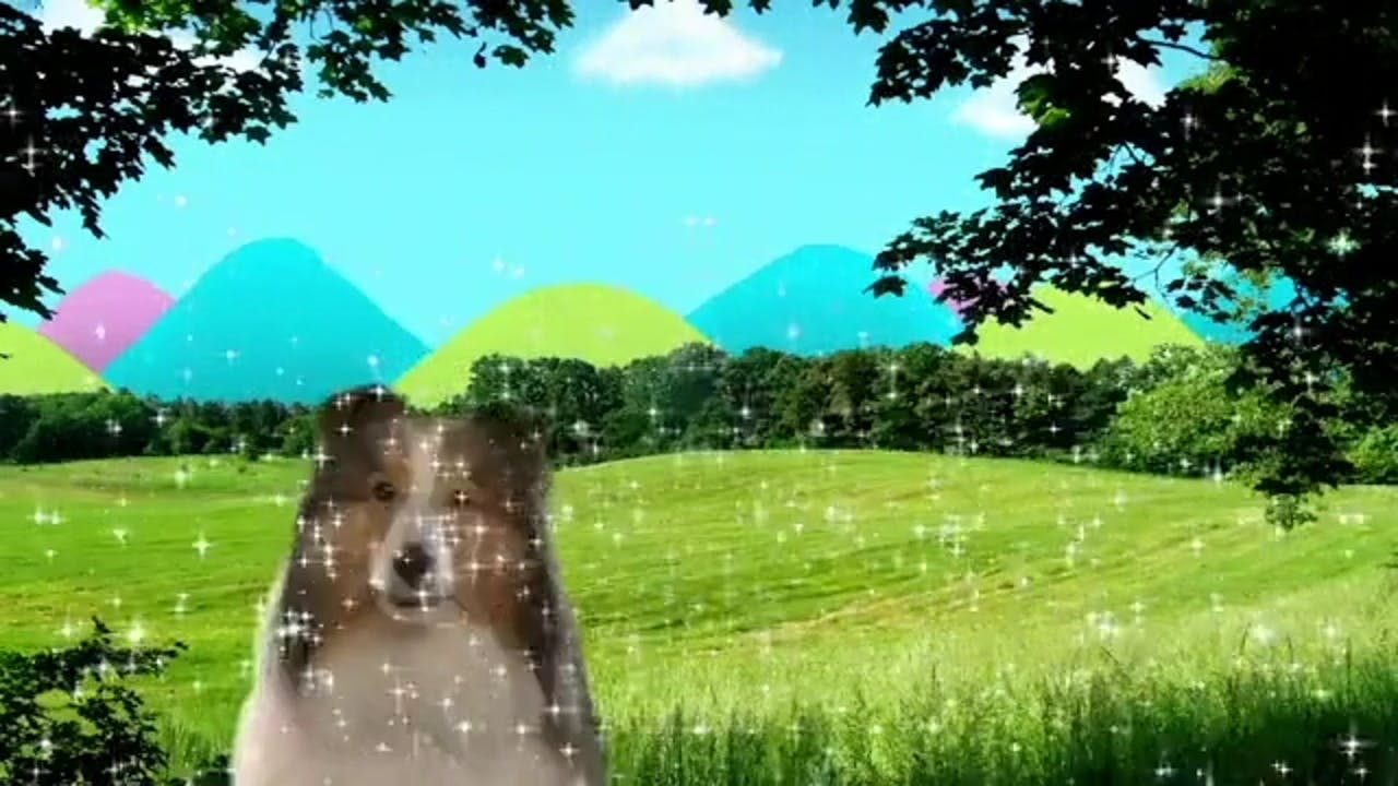 Mickey's Farm Trailer - Yippee - Faith filled shows!