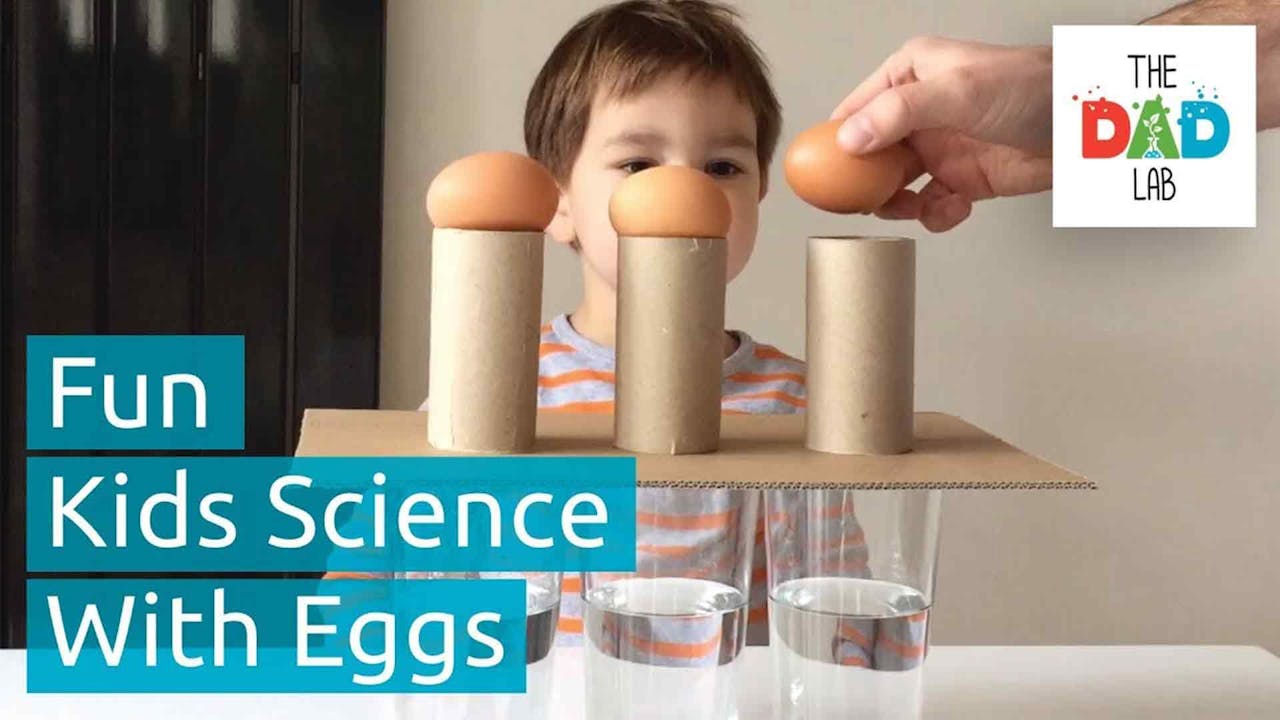5 Cool Science Experiments with Eggs You Can Do with Kids - TheDadLab - Yippee - Faith filled shows!