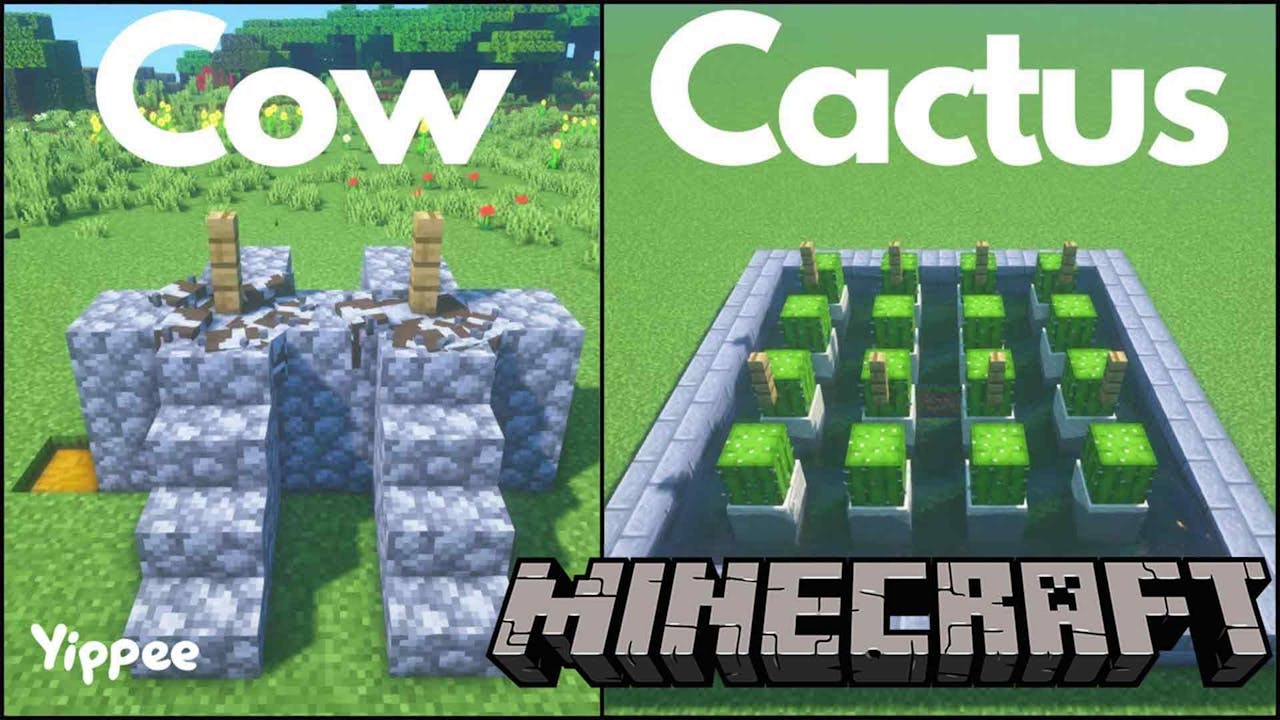 3 Simple Starter Farms - Yippee - Faith filled shows!