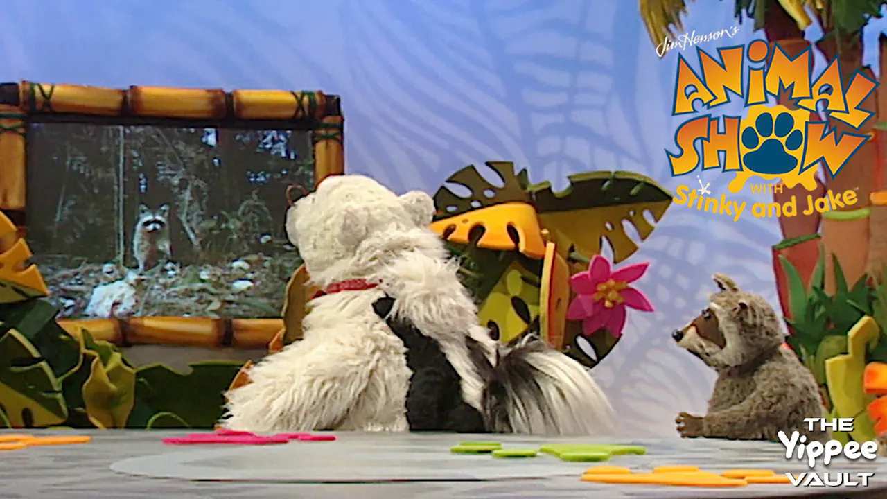 Racoon & Polar Bear - Animal Show with Stinky and Jake - Yippee - Faith ...