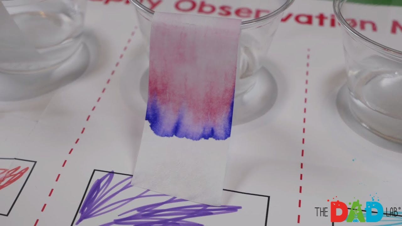 Science Experiments For Kids In A Box - TheDadLab - Yippee - Faith ...