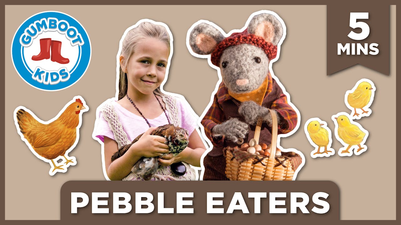 Pebble Eaters - Yippee - Faith filled shows!