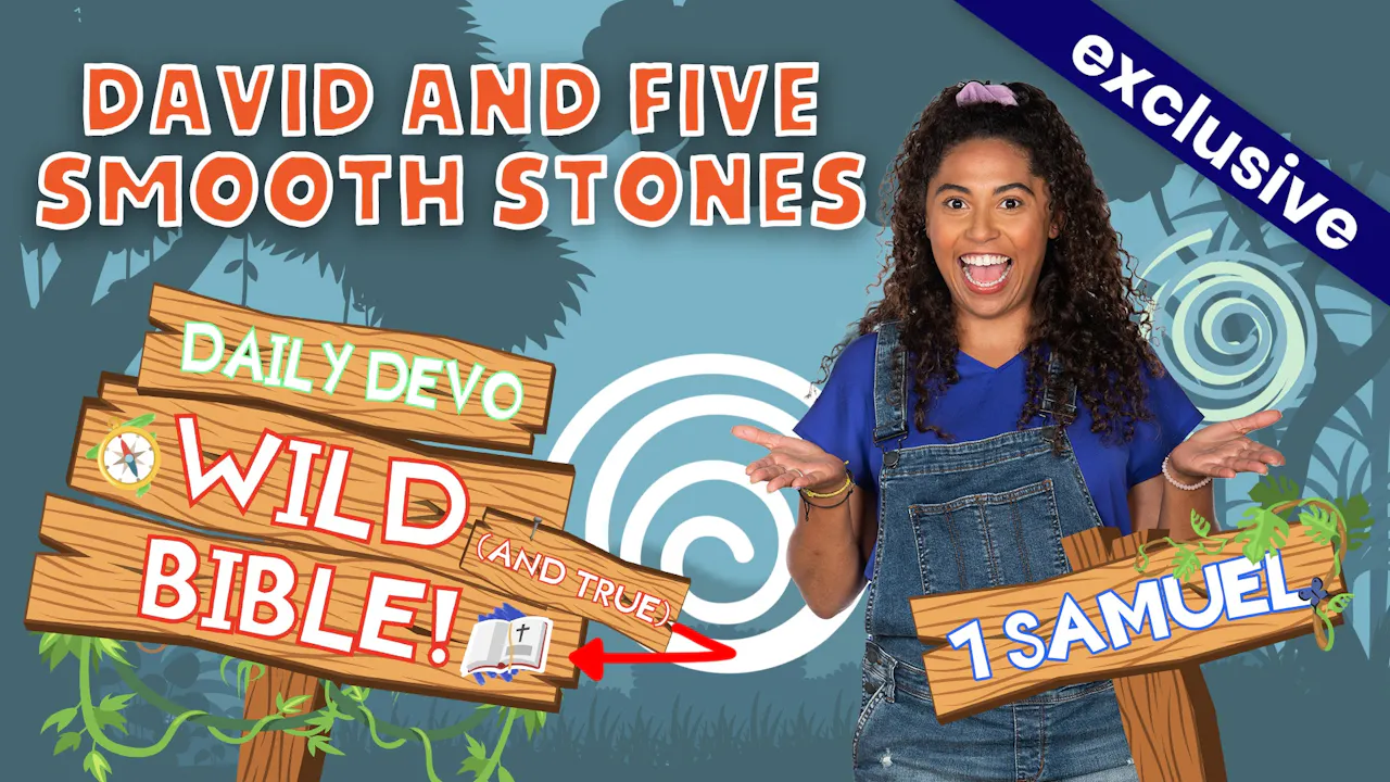 #612 - David's and Five Smooth Stones - 2024: WILD BIBLE - Yippee ...